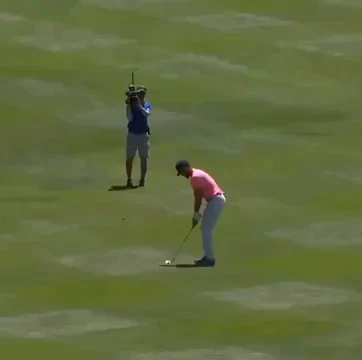 Pure magic | Scrolller