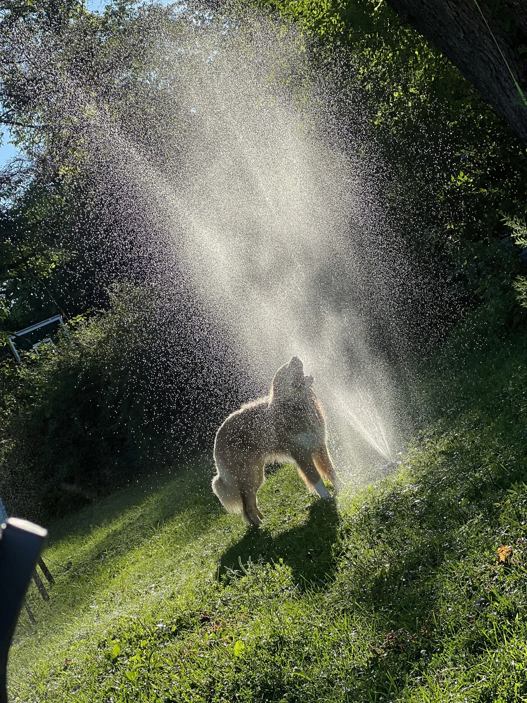 heat wave | Scrolller