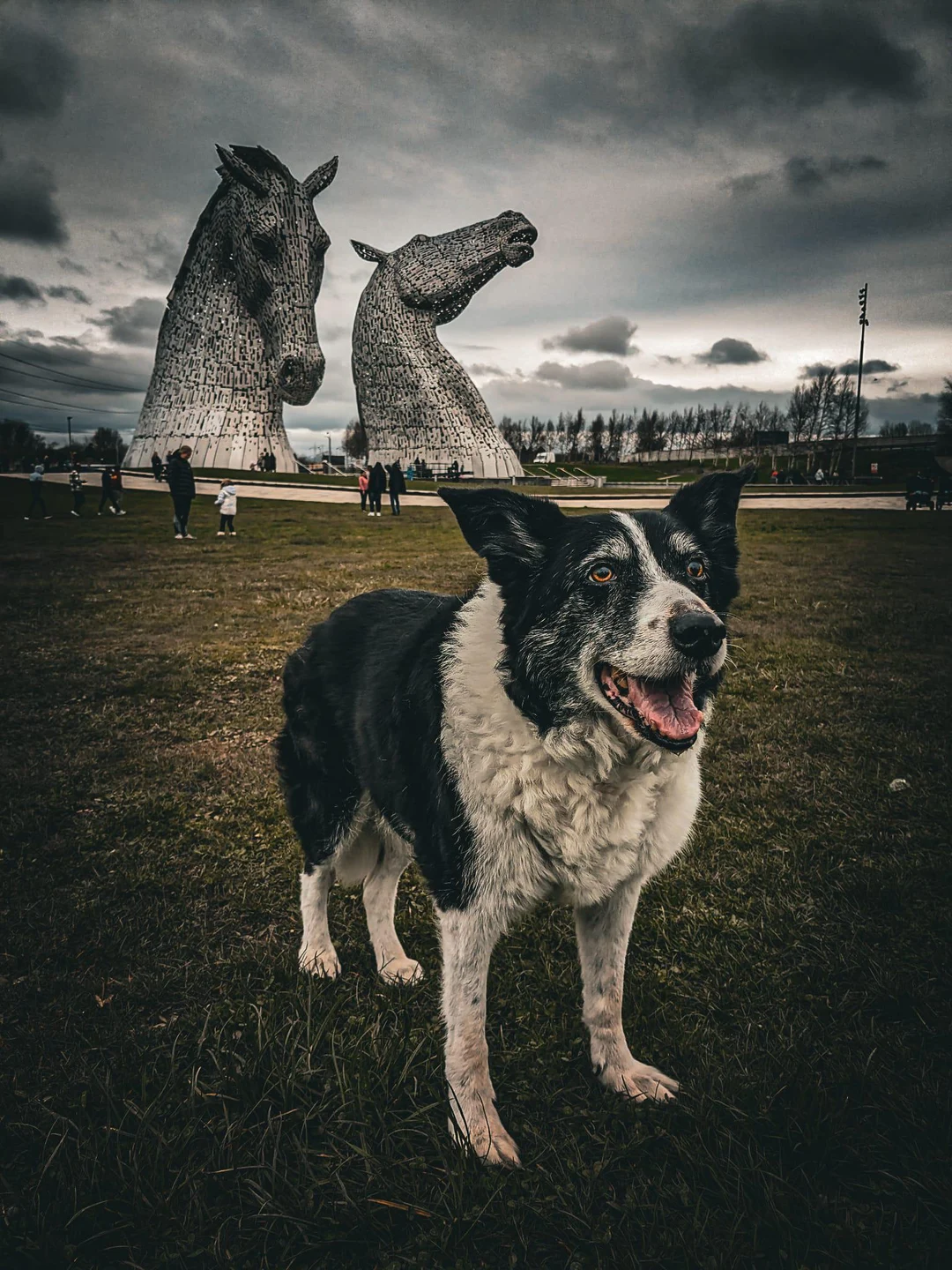 Judi at the Kelpies | Scrolller