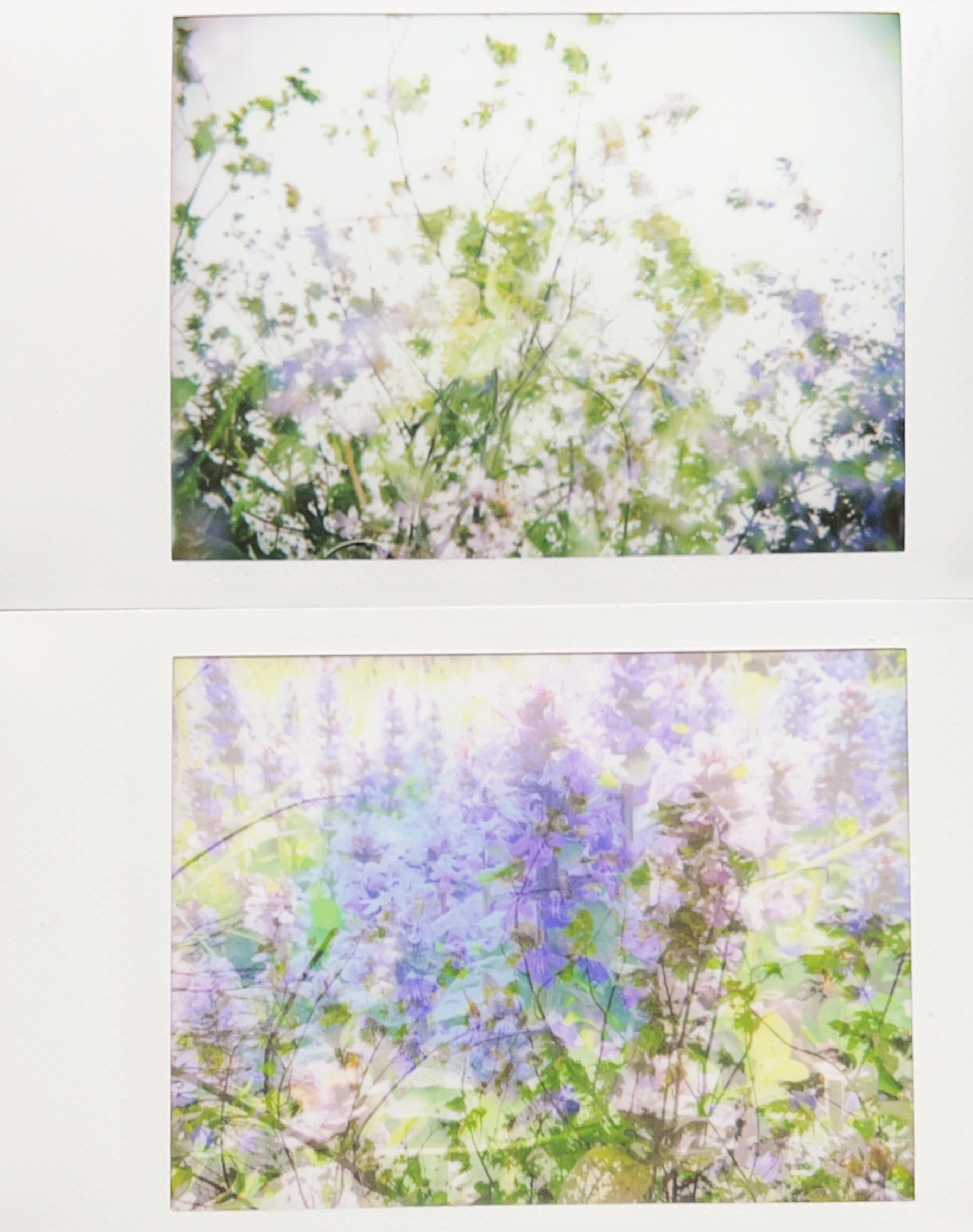 A couple shots illustrating the difference between an analog double exposure (top) and digital ...