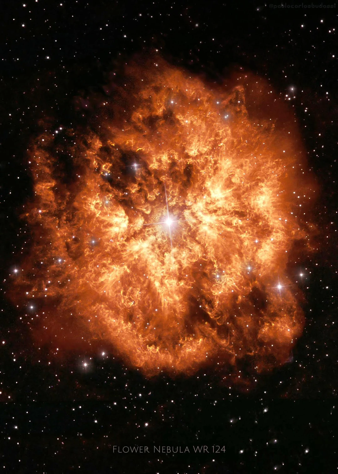 Flower nebula part 1 | Scrolller