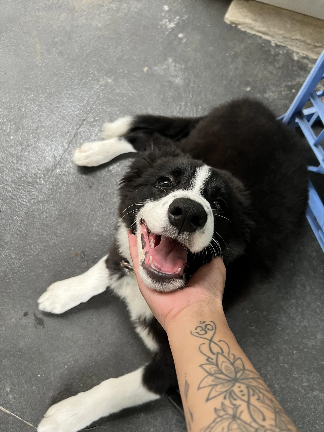 Hi Mummy! | Scrolller