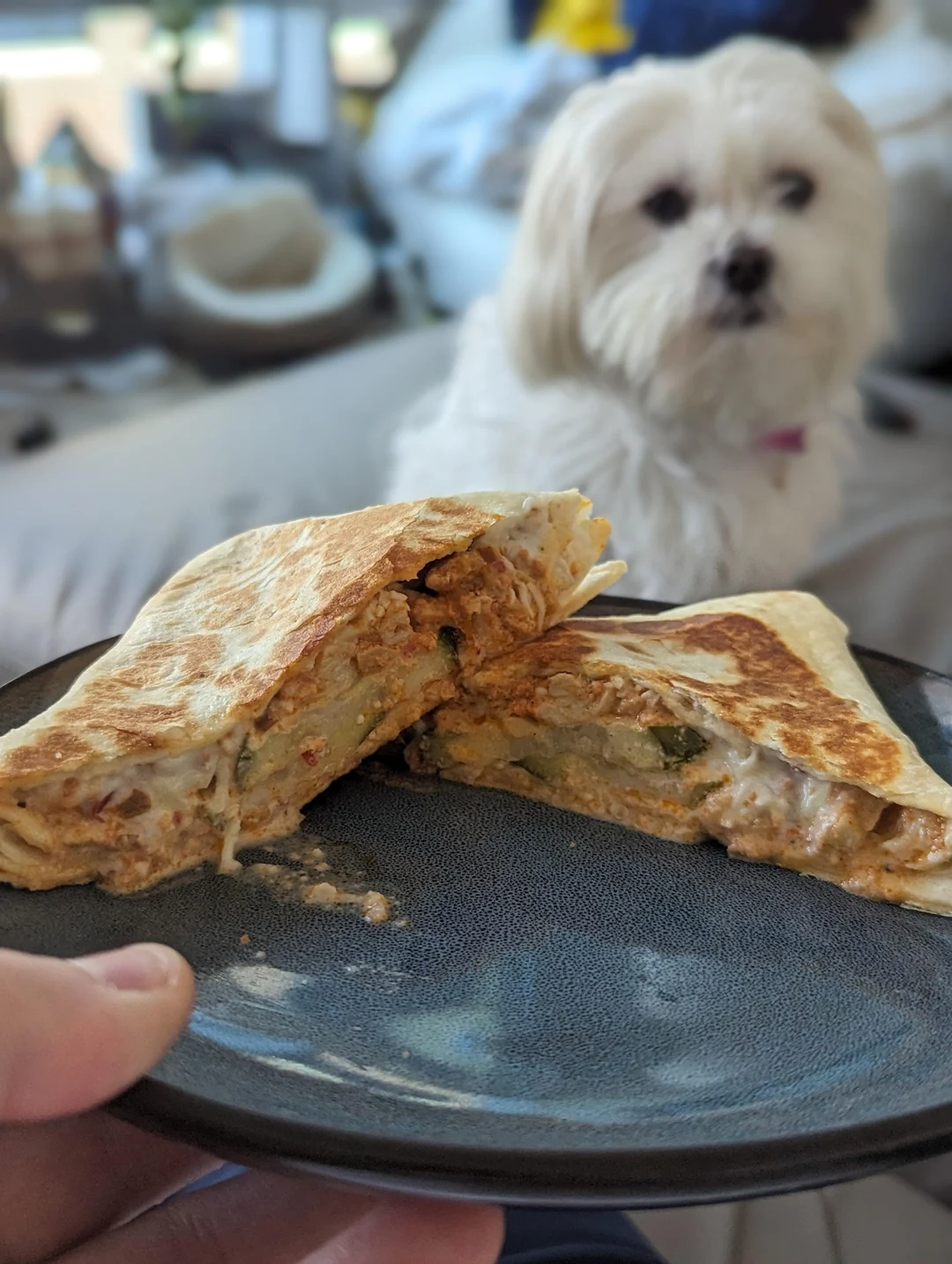 Discover more like Eatsandwiches: Shawarma Sandwich and Related Content | Scrolller