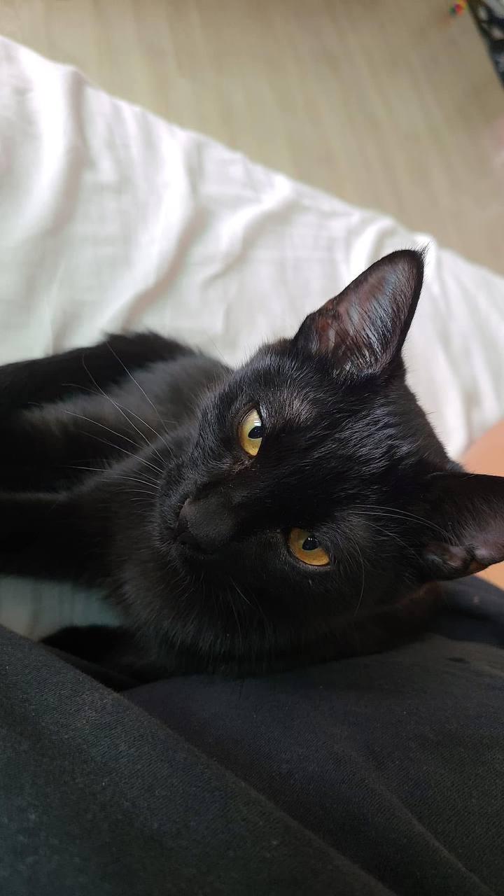 Sweet Void! | Scrolller