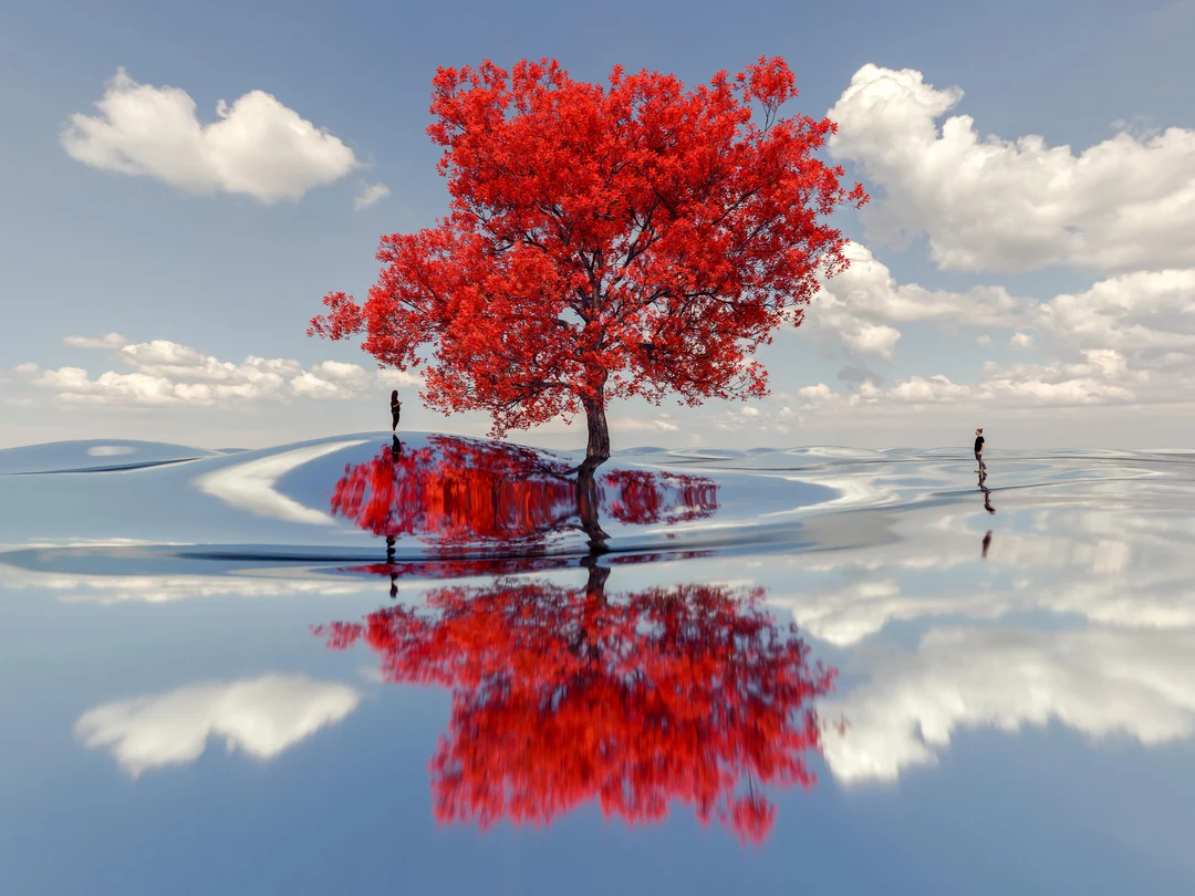 Back to the roots | Scrolller