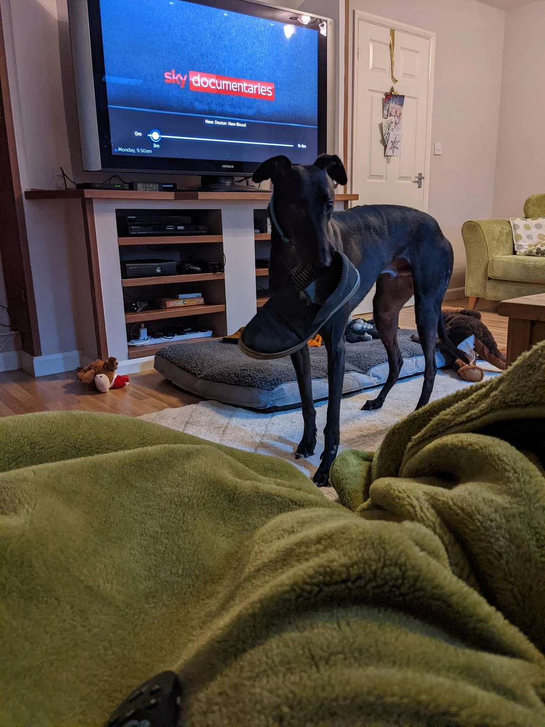 A thief! | Scrolller