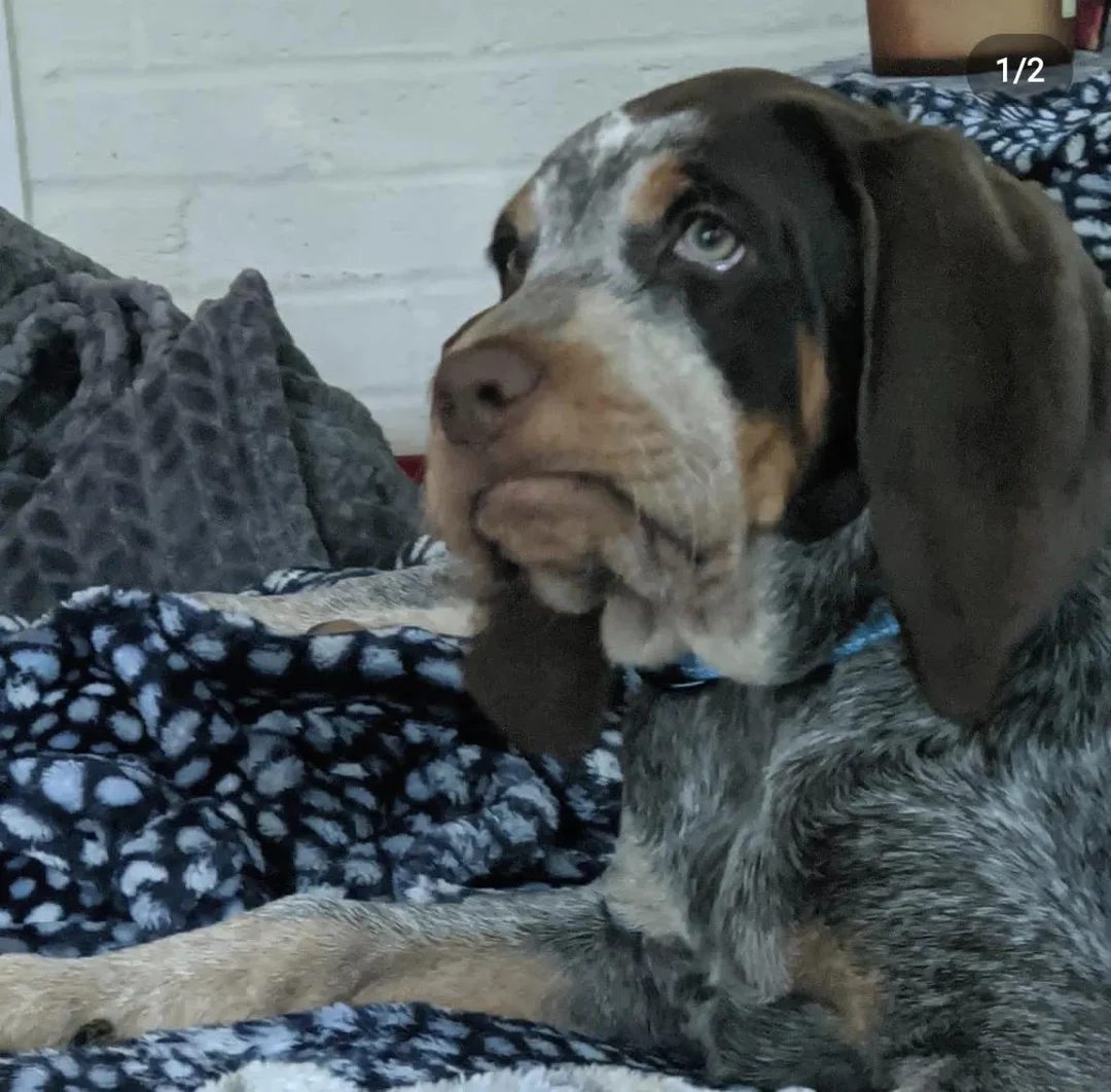 Luna has got That Stank Face | Scrolller