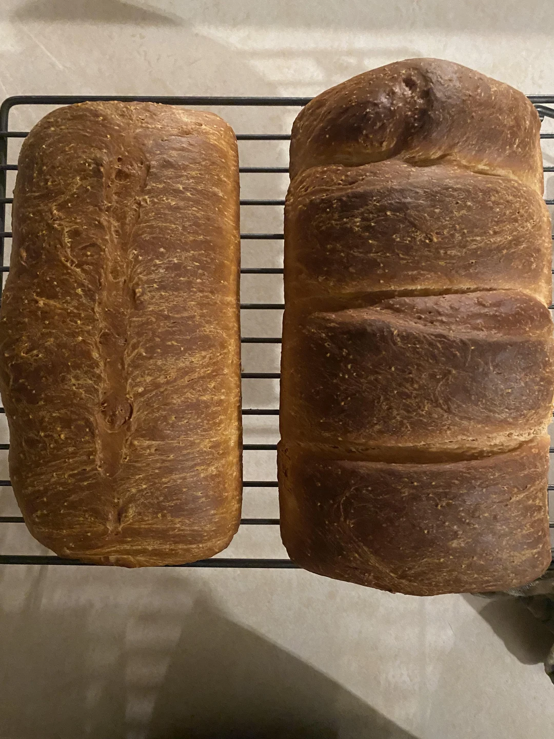 My brioche bake (No crumb pic :( | Scrolller