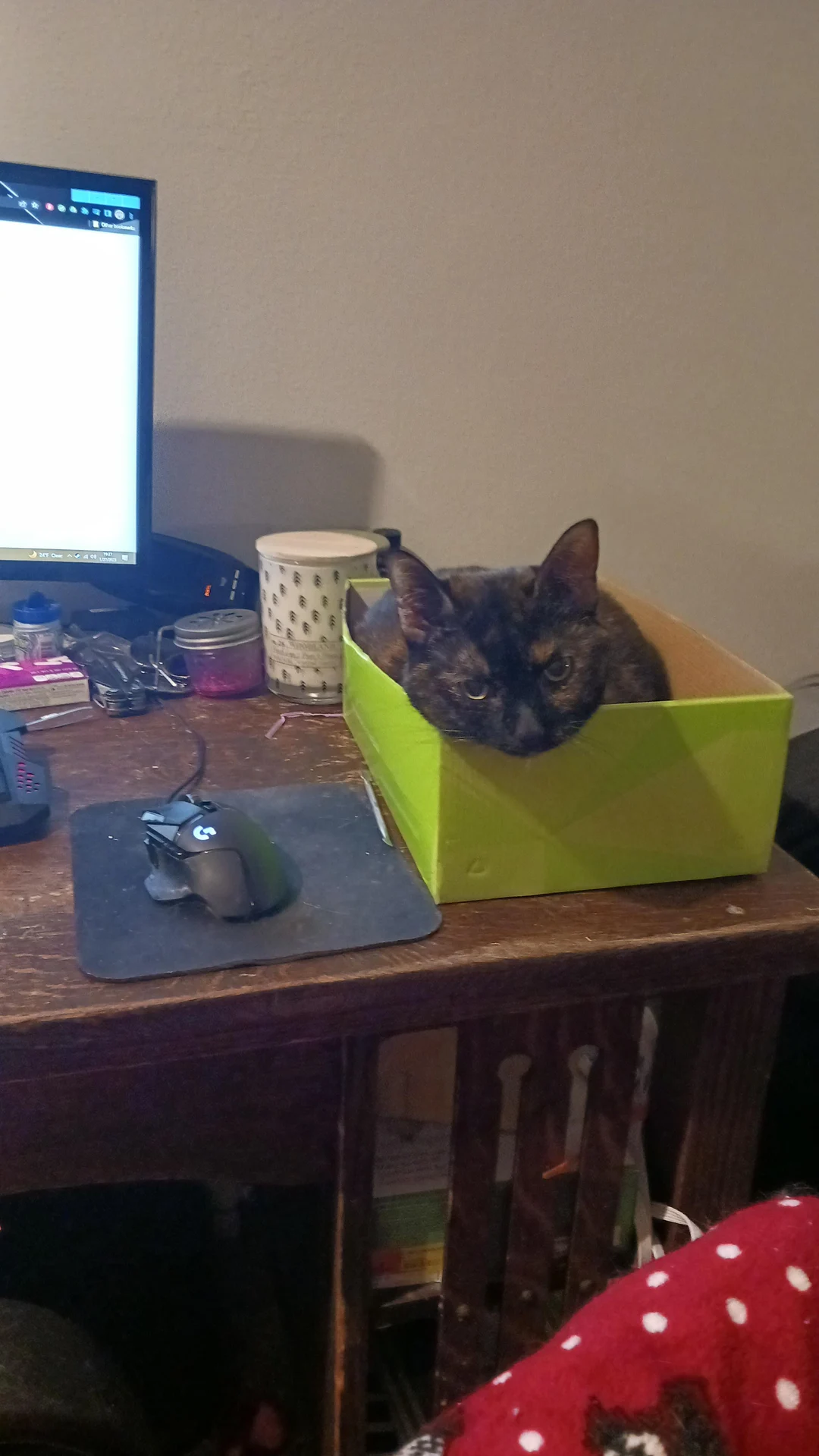 I have put an empty shoebox on my desk and it has successfully trapped one! | Scrolller