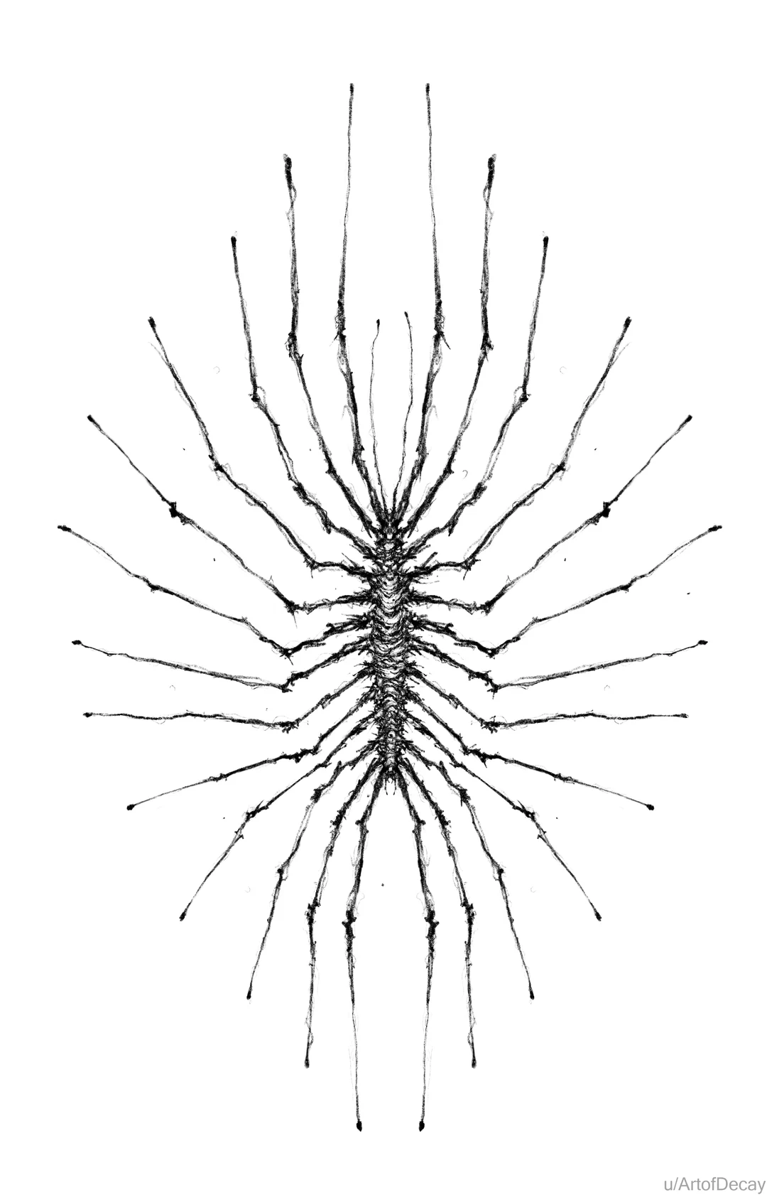 House centipede, me, digital, 2022 | Scrolller