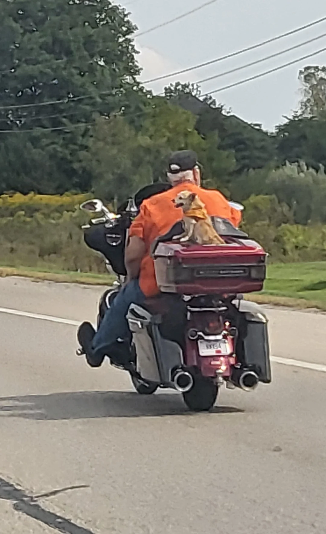 watching for speed traps | Scrolller