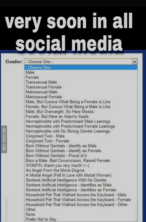 sample text | Scrolller