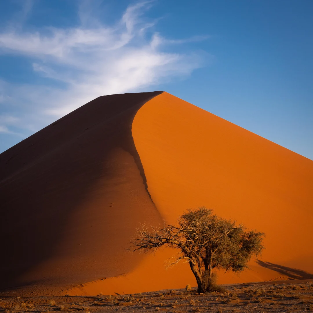 Sossusvlei in the Sea of Dunes, Hardap Region, Namib Desert, Namibia [OC] [3872x3872] | Scrolller