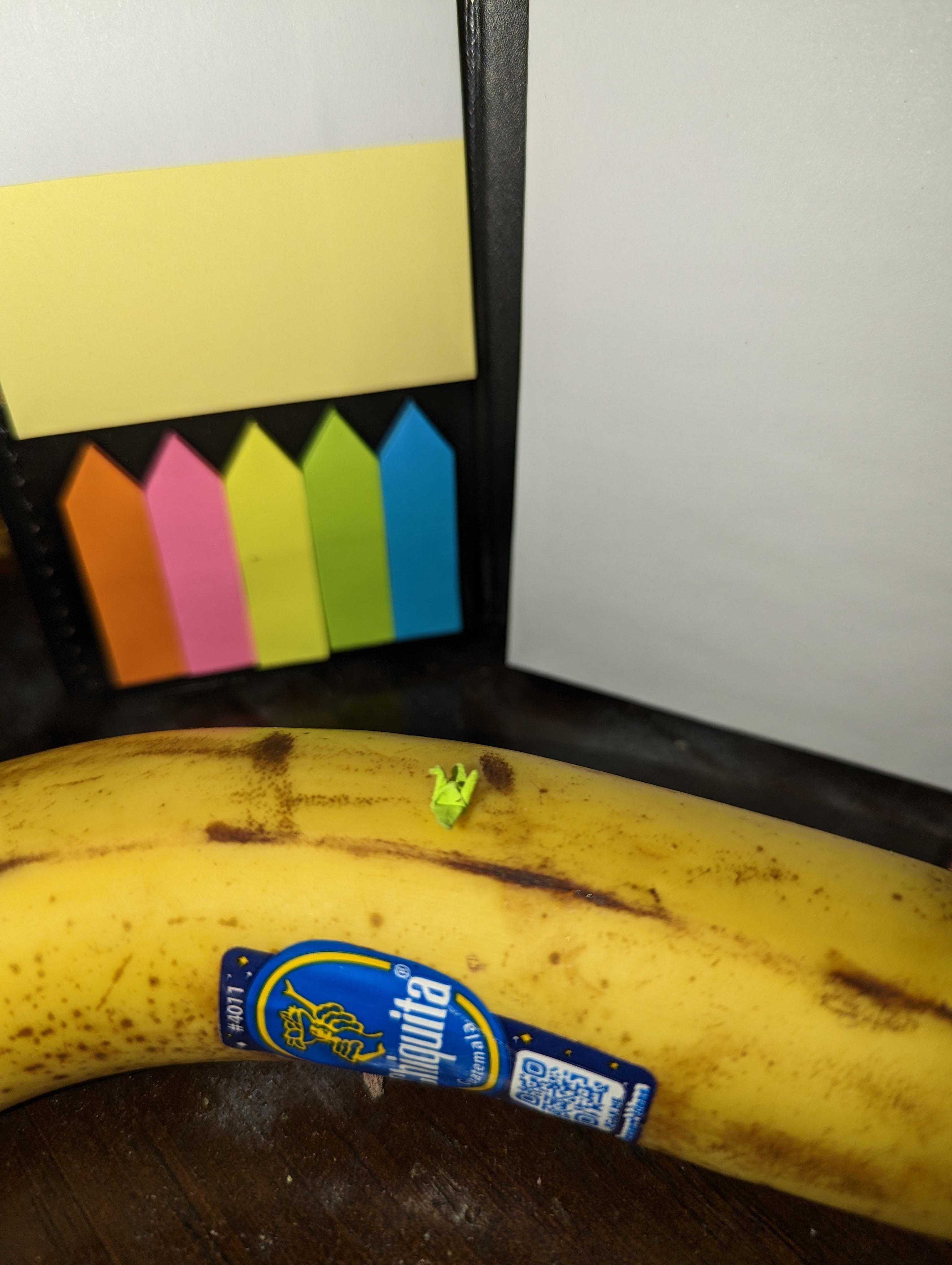 A very tiny paper crane | Scrolller