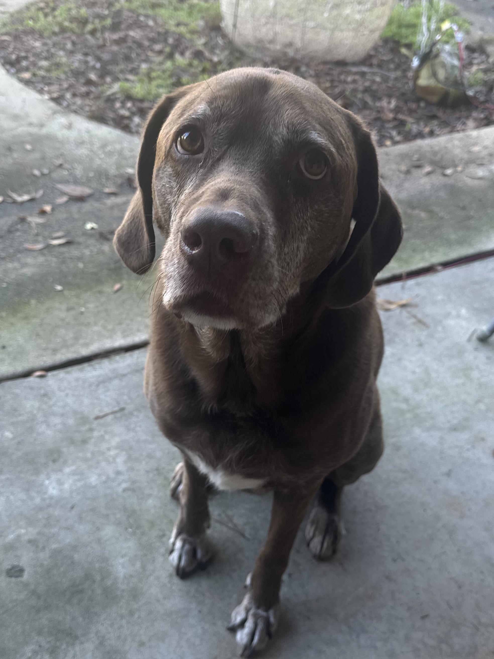 Meet Mr.Greg | Scrolller