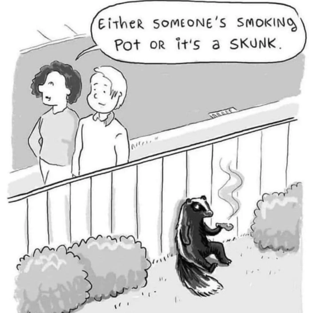 Both! Its a pot smoking skunk | Scrolller