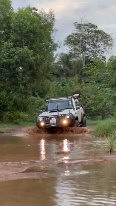 Nissan Patrol Y61 | Scrolller