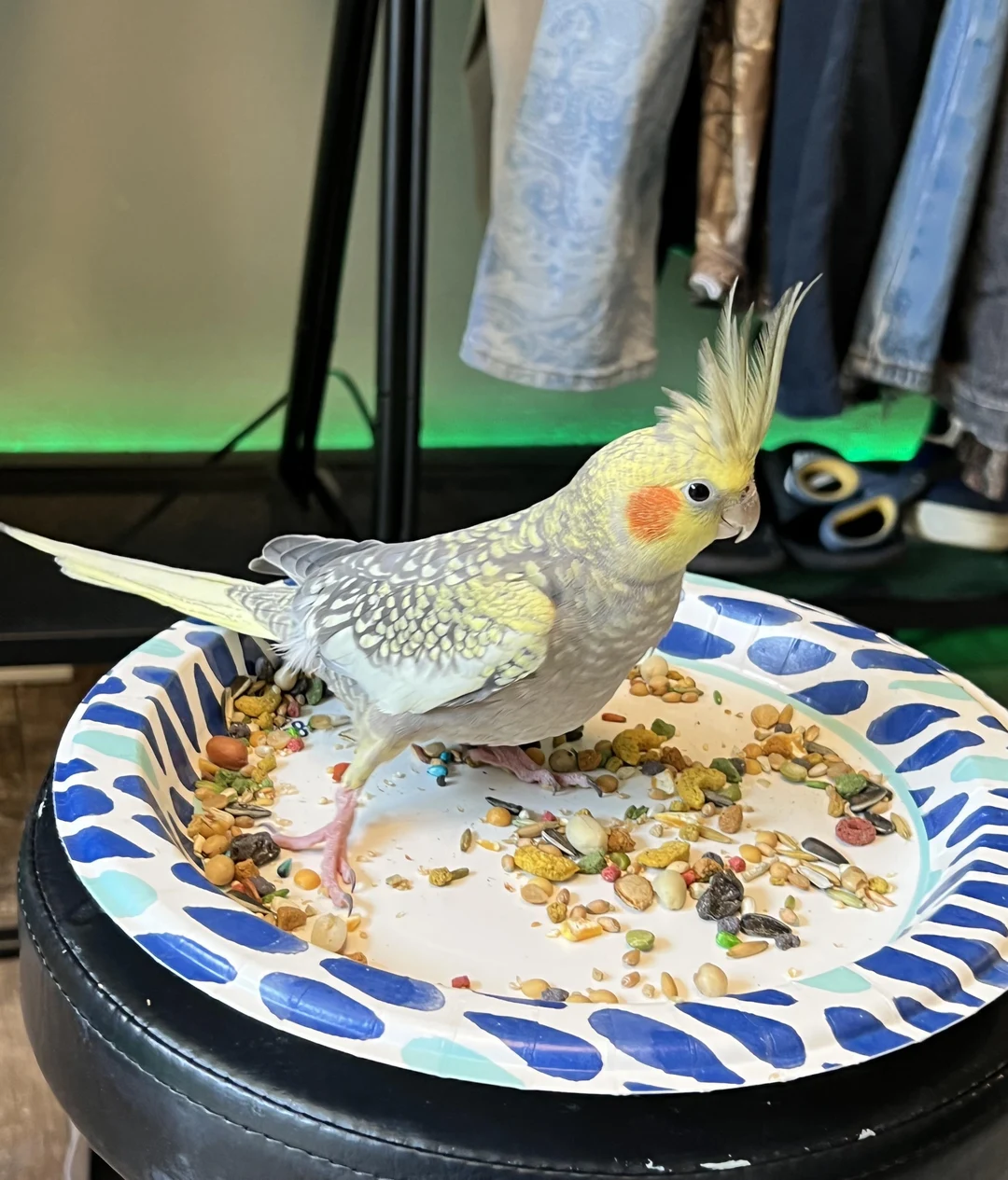 Quick leg pose whilst eating lunch | Scrolller