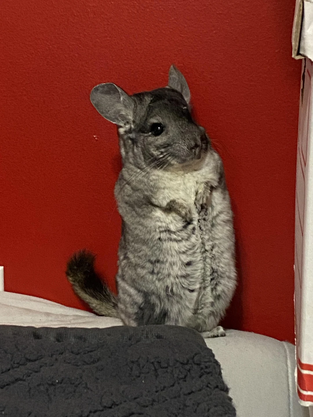 posture check | Scrolller