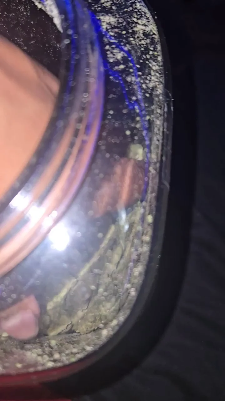 Pineapple OG | Scrolller