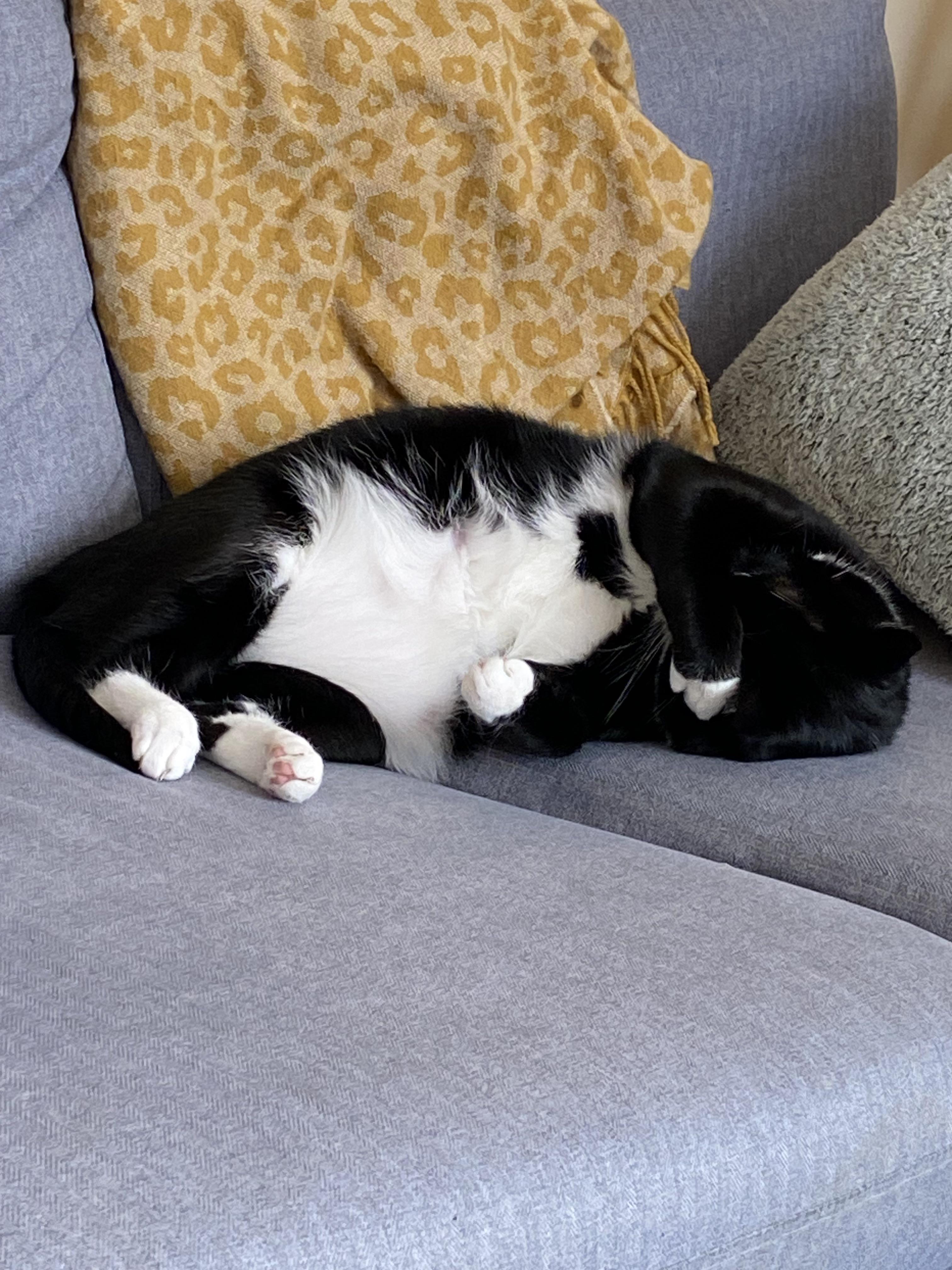 The sun was too bright | Scrolller