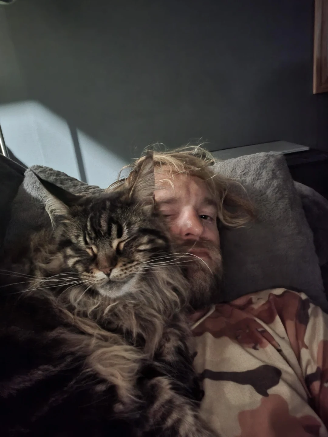 someone blessed me with some snuggling time tonight ️ | Scrolller