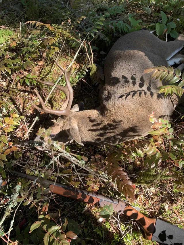 First blacktail after 3 years hunting | Scrolller