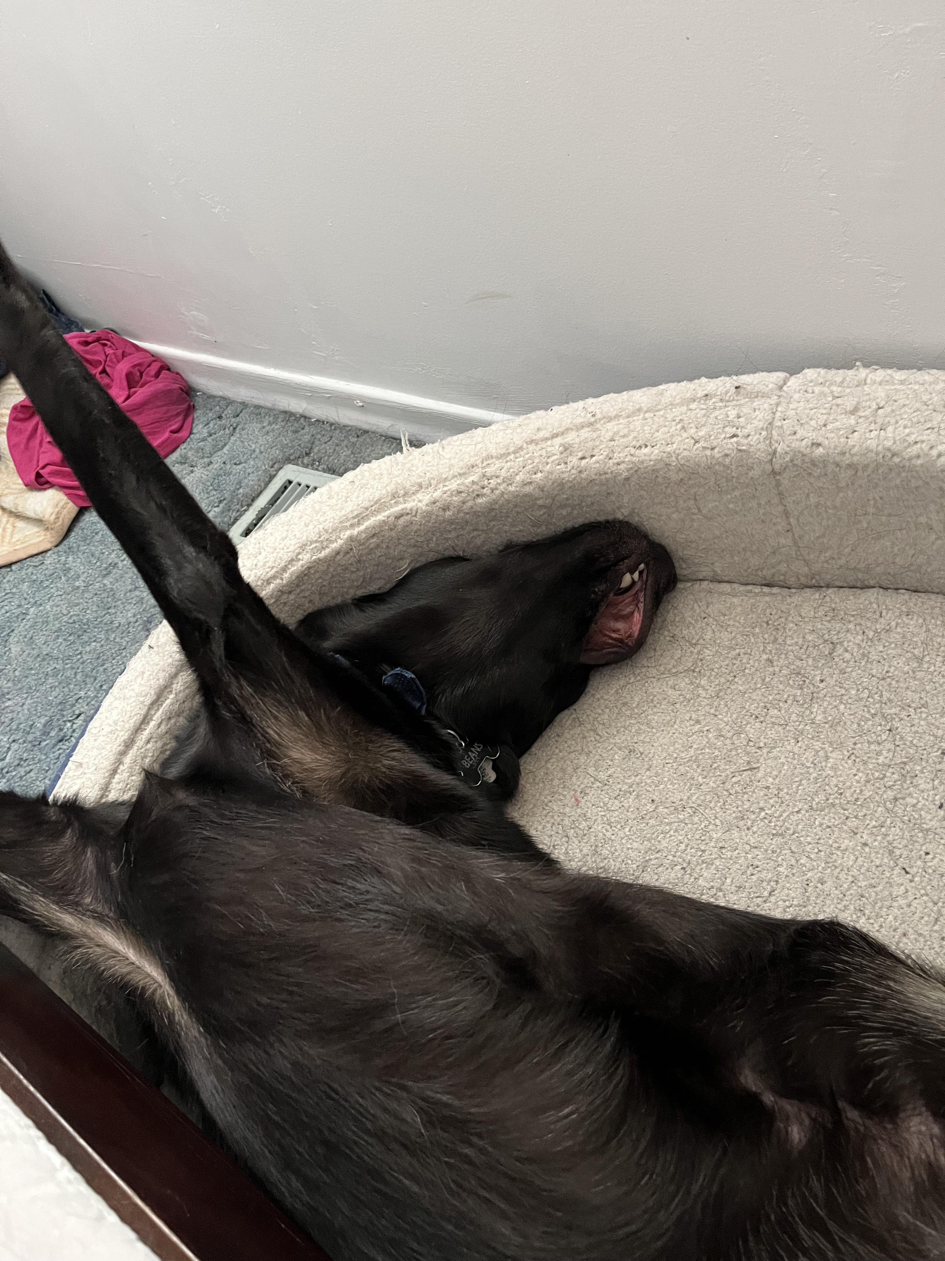 Floppy lips | Scrolller