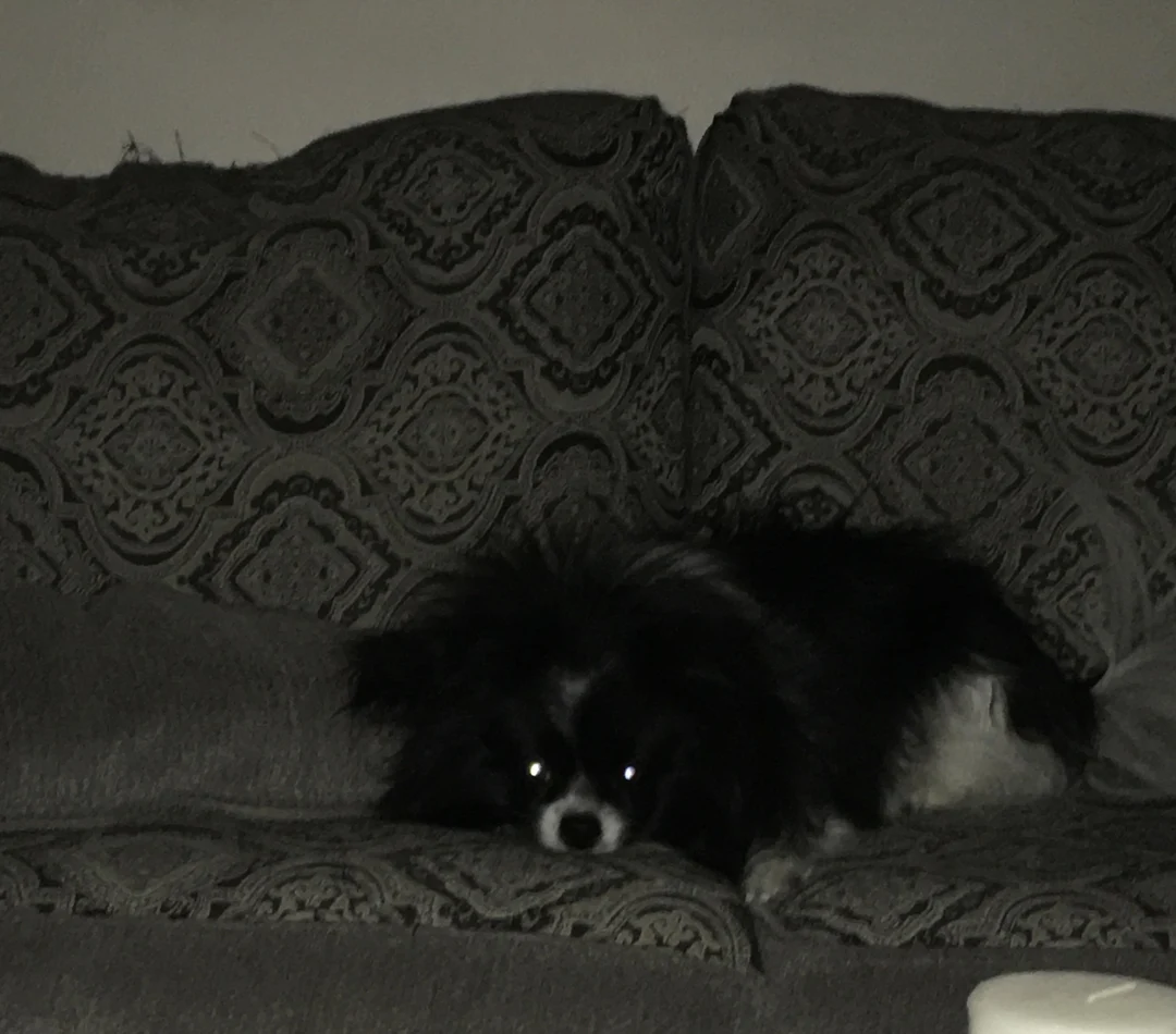 Channeling Demons | Scrolller