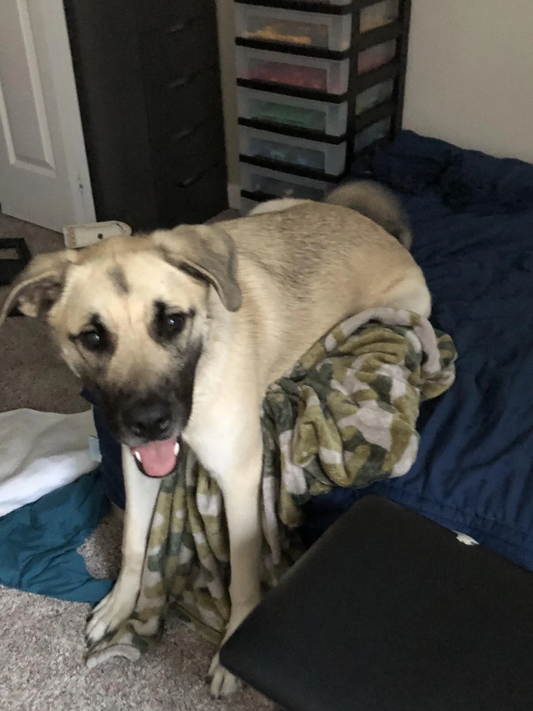 She’s sitting and standing | Scrolller