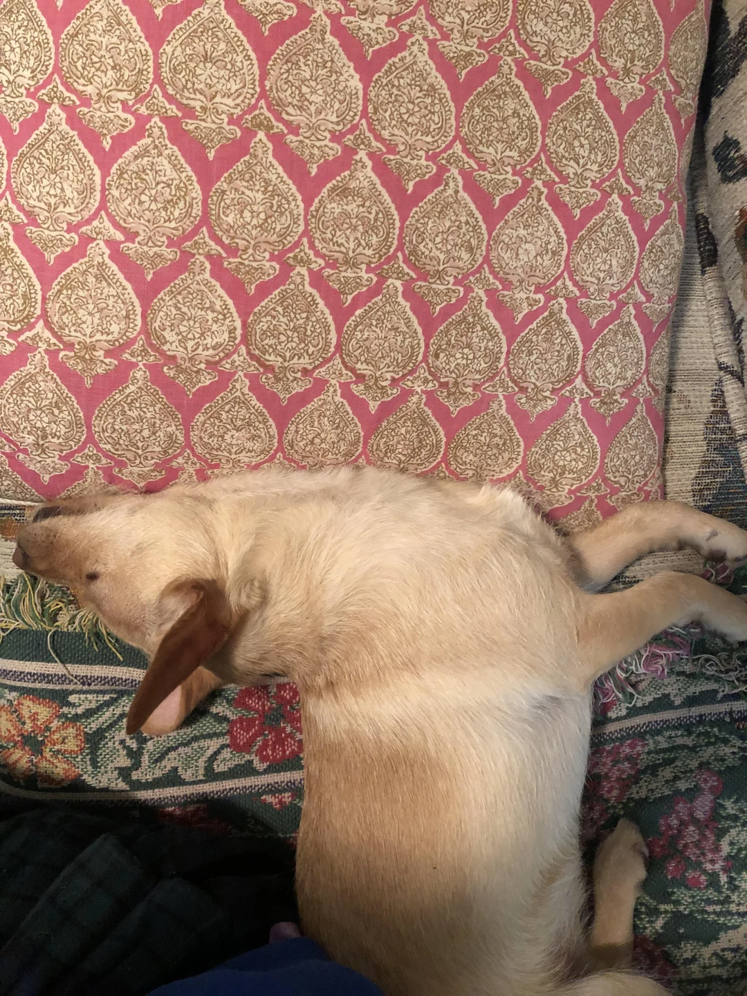 My sleeping angle 📐 | Scrolller