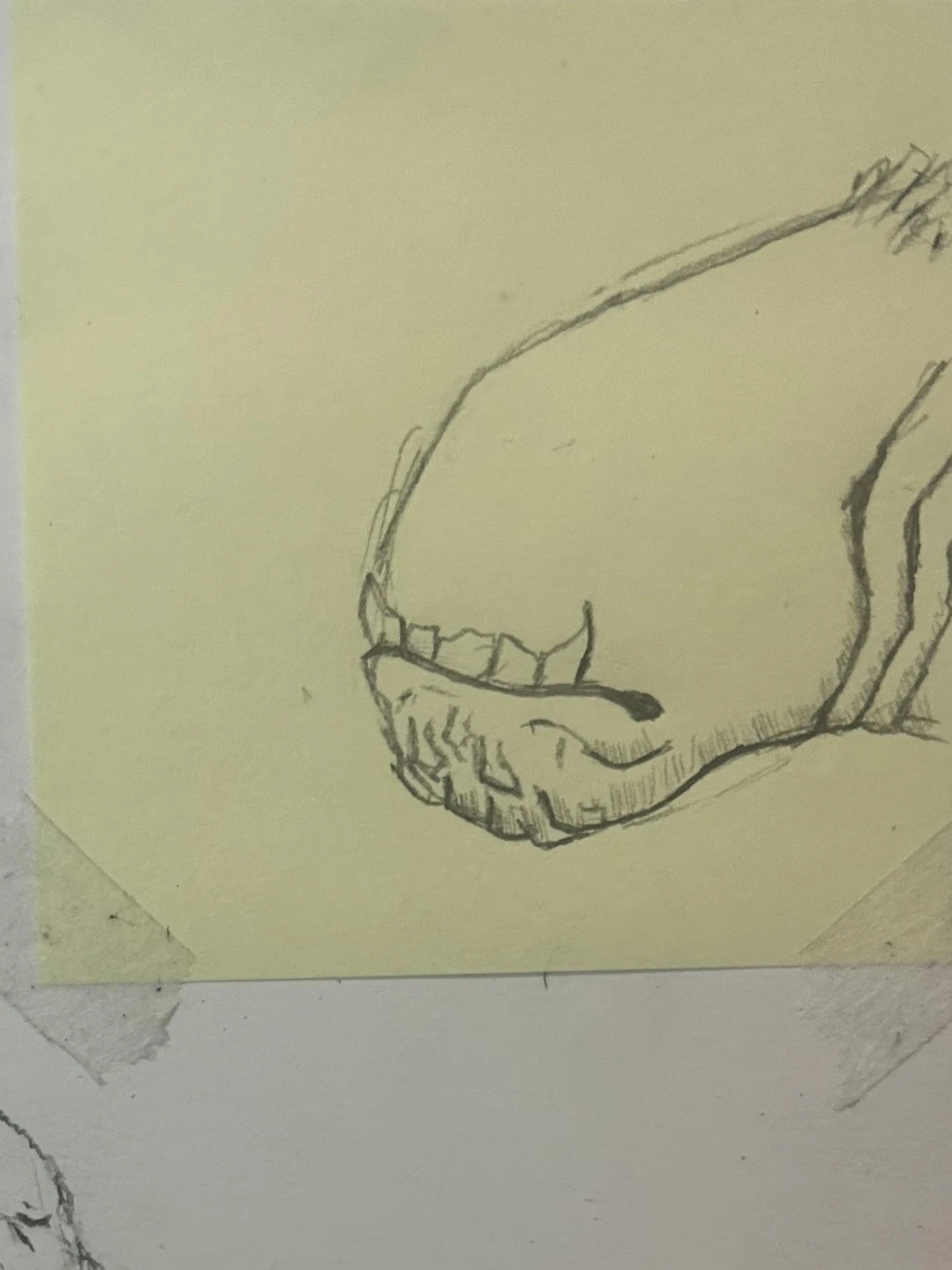 Wildmutt sticky note art | Scrolller