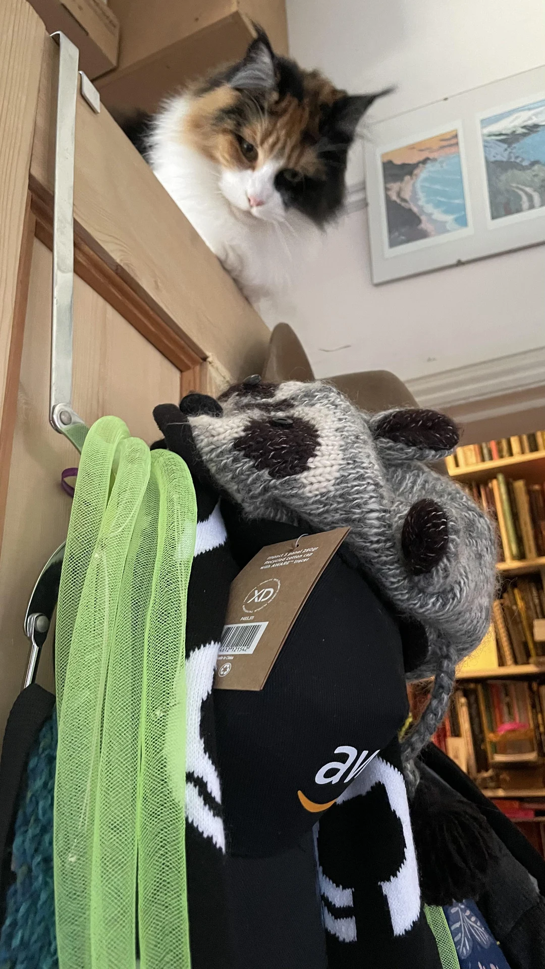 Lyra looks down on her puny humans | Scrolller