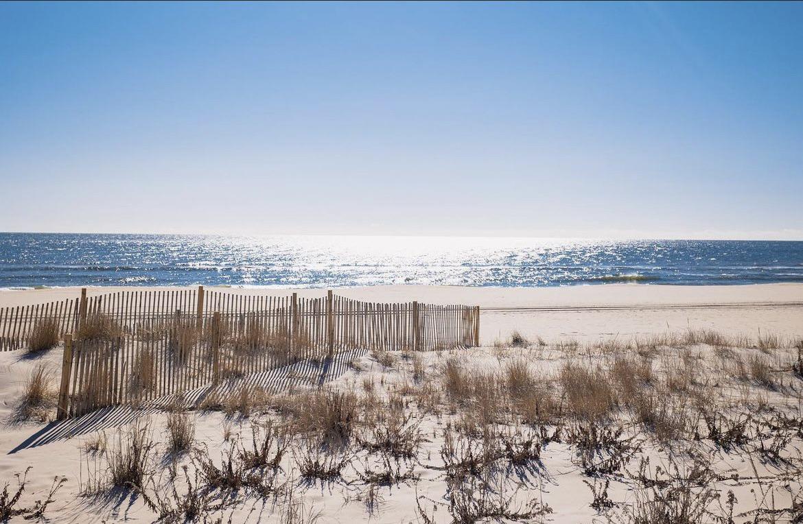 Long Beach Island, NJ | Scrolller