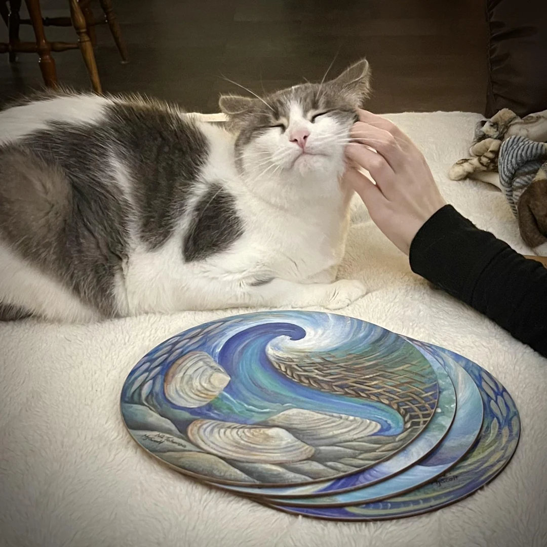 Discover more like Catpics: Teddy loving the face scritches and Related ...