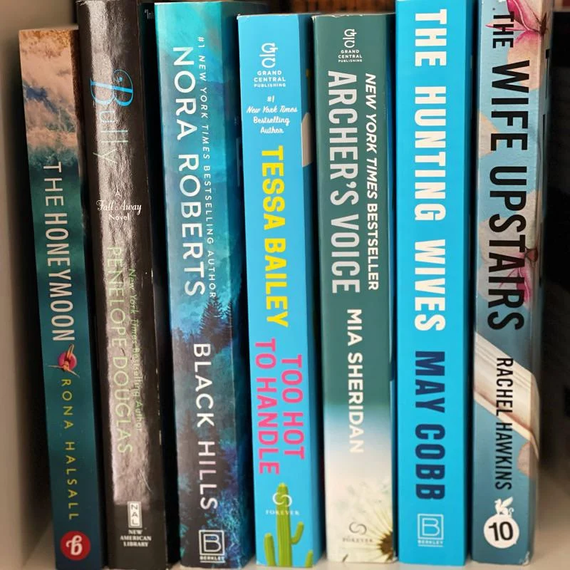 Blue book mail stack! I’m currently reading Archer’s Voice | Scrolller