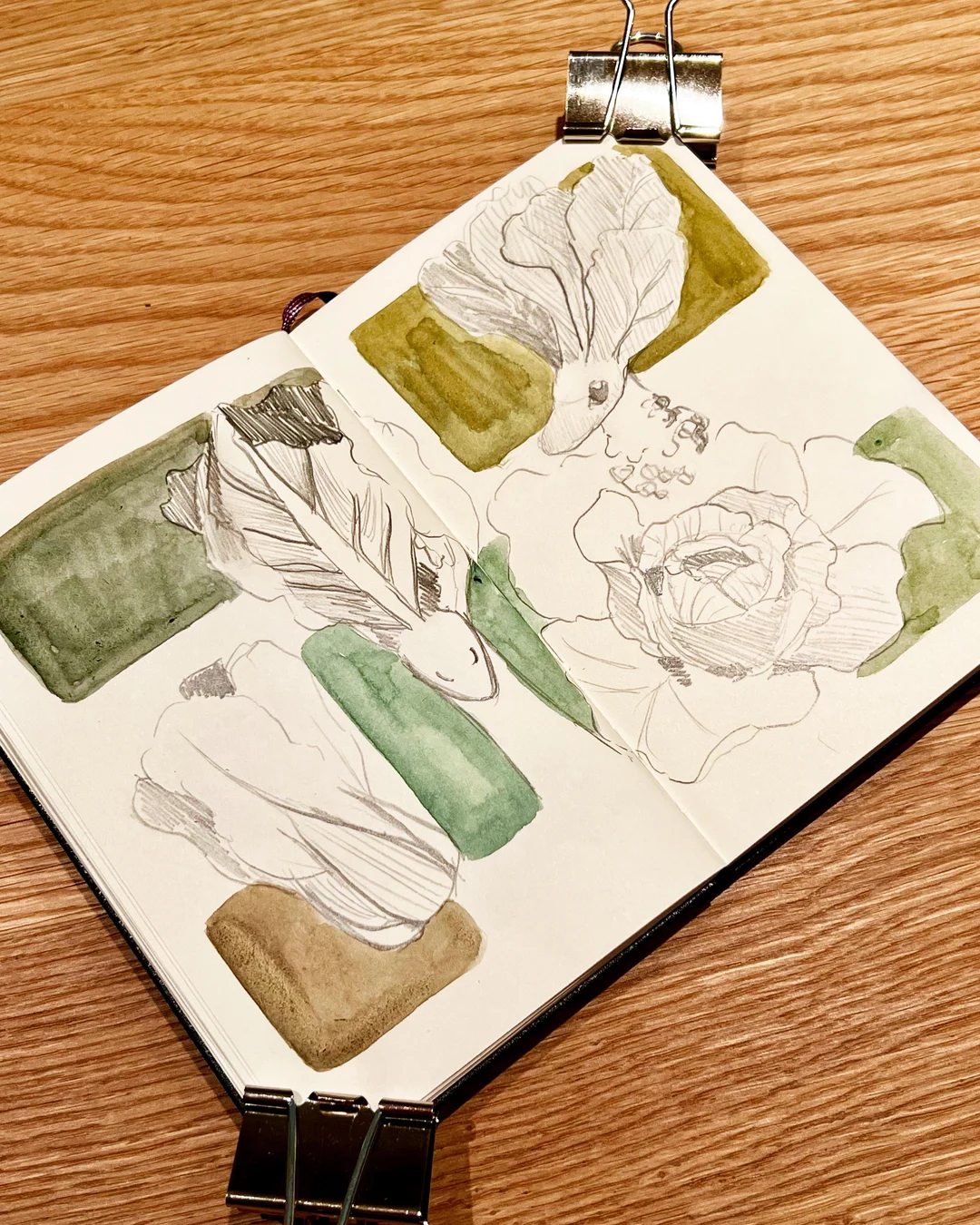 Cabbage dragons | Scrolller