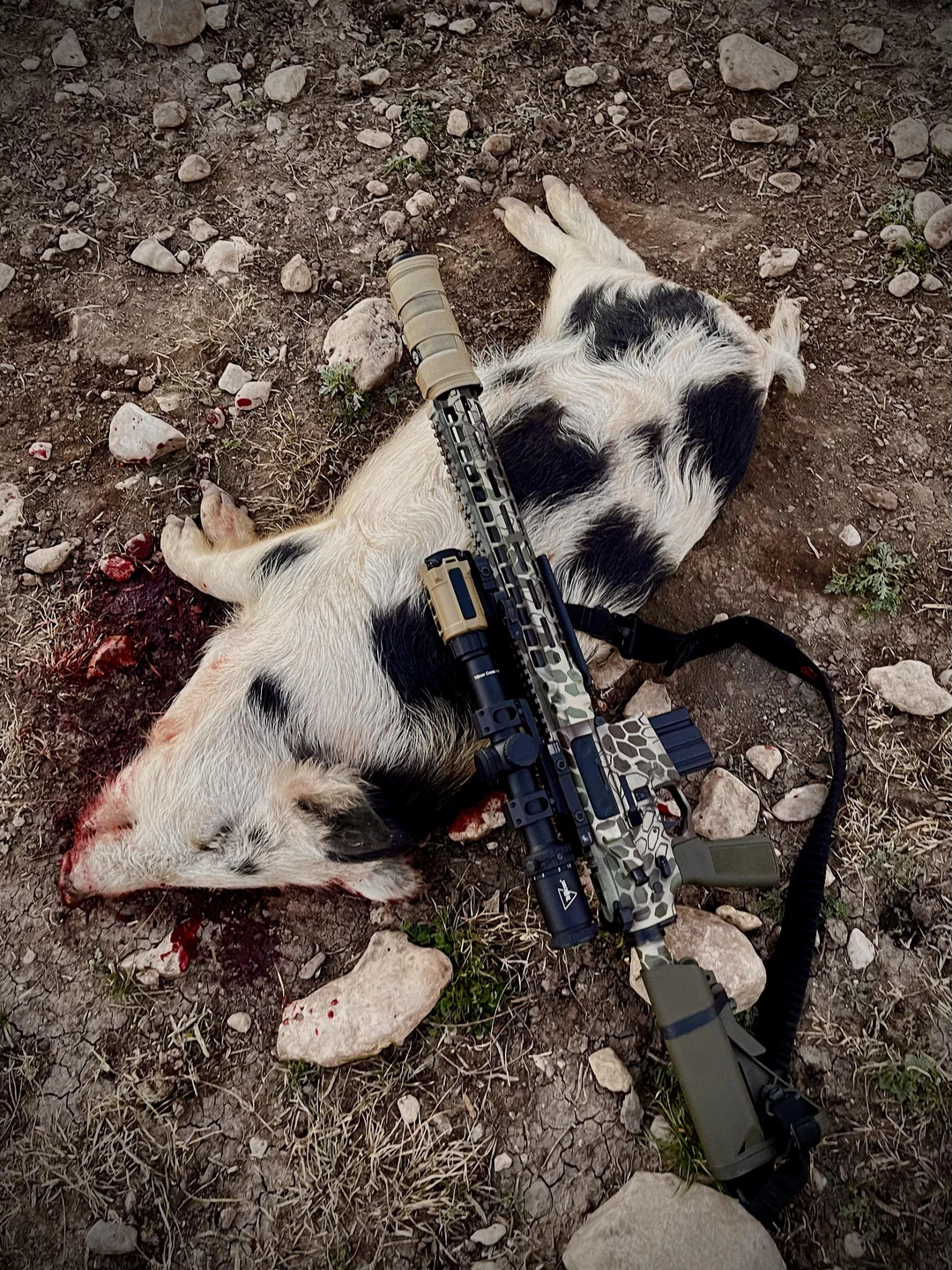 First trip with the new Hog Blaster | Scrolller