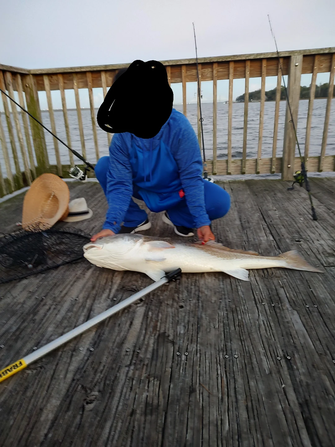 41" Red Drum (Redfish) FL | Scrolller