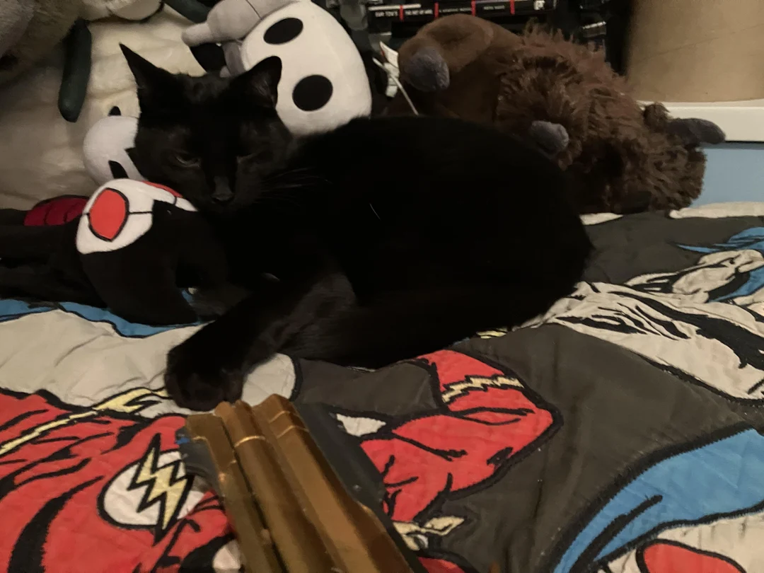 Discover more like Cute: Cat blob and Related Content | Scrolller