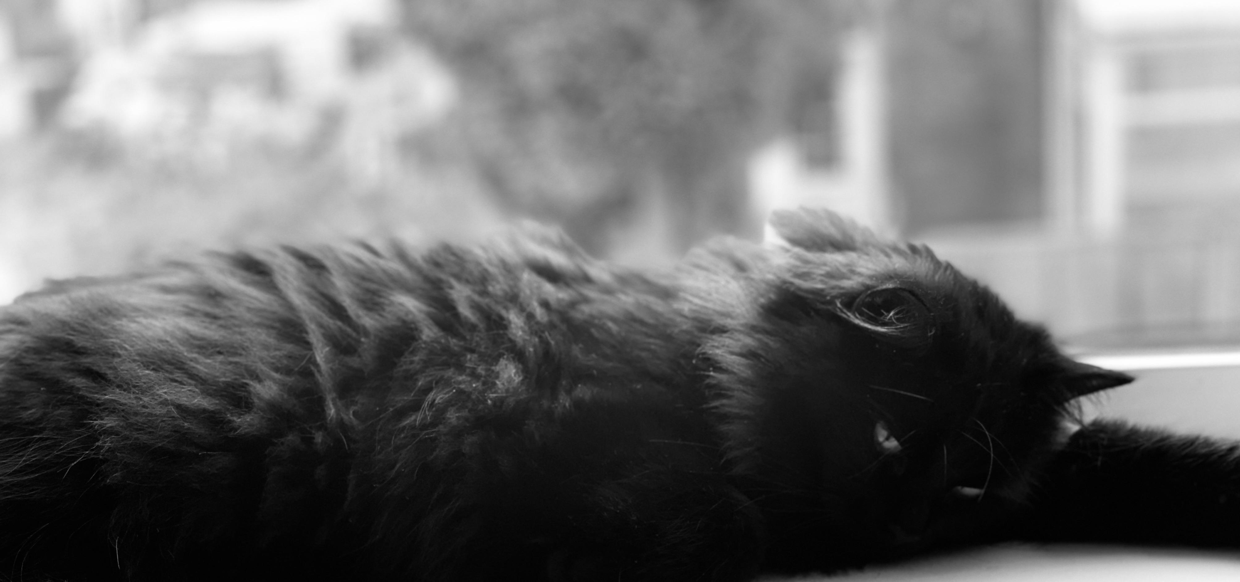 Resonance | Scrolller