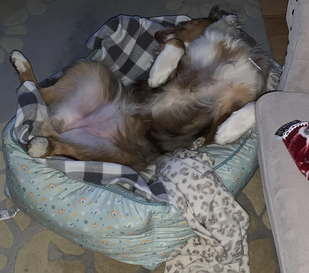 Yes, she’s asleep. | Scrolller