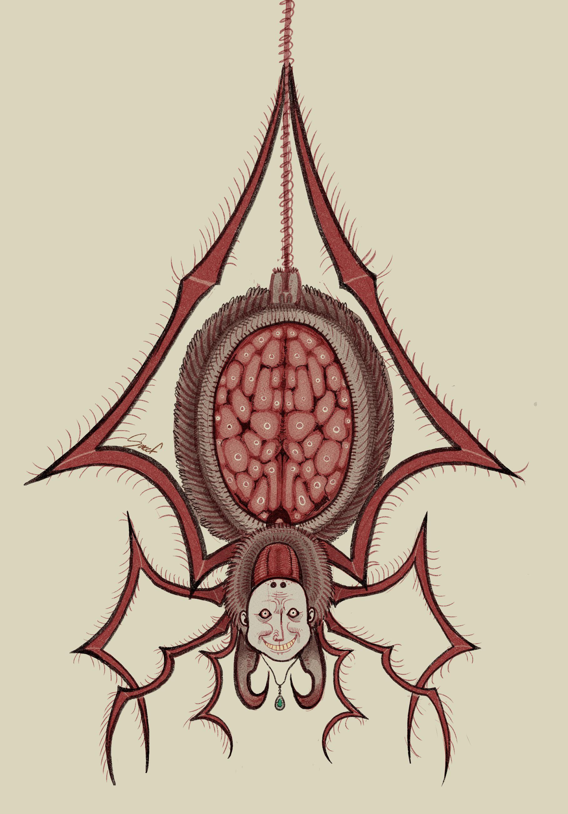 Patches the Spider (oc) | Scrolller