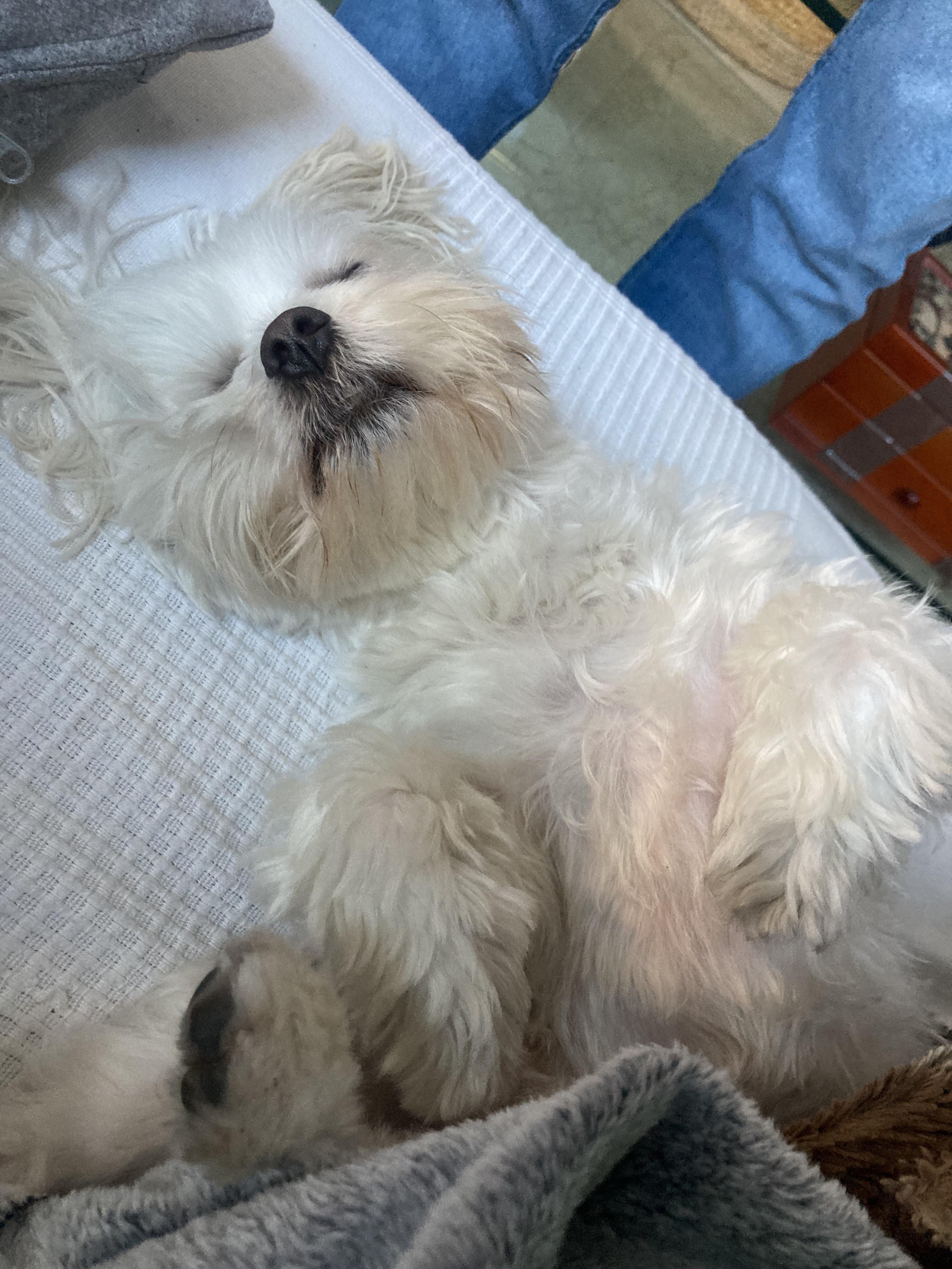 Hangover 😵😂😂😂 | Scrolller