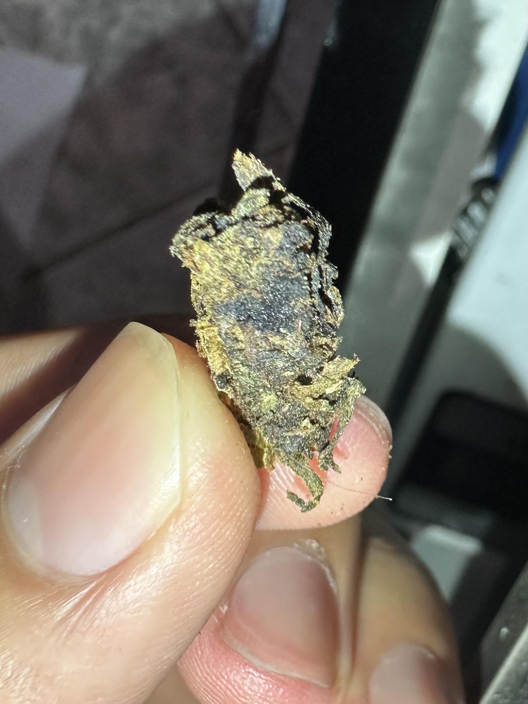 Brick weed with weird black spots. Is it safe to smoke it? | Scrolller