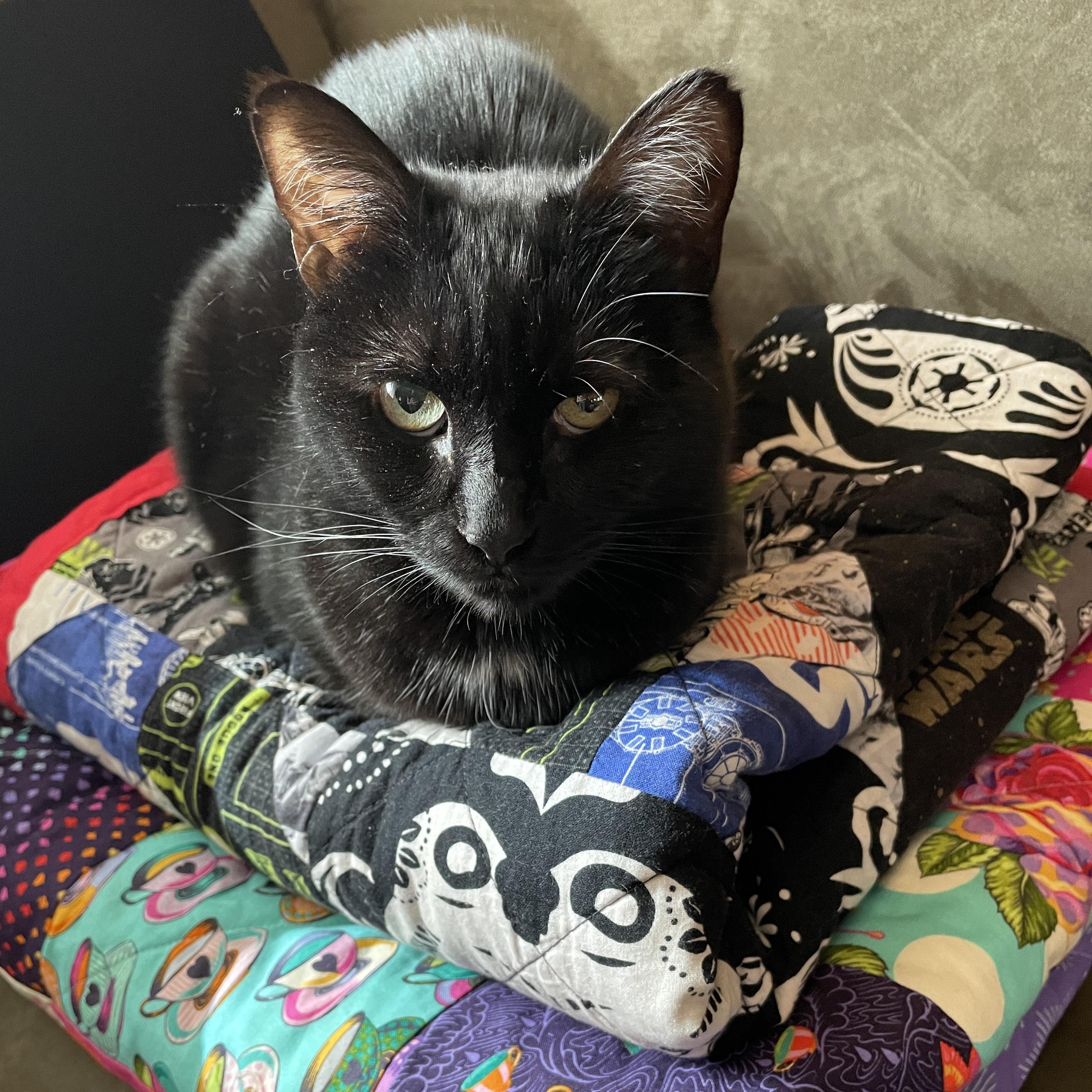 Void loaf | Scrolller