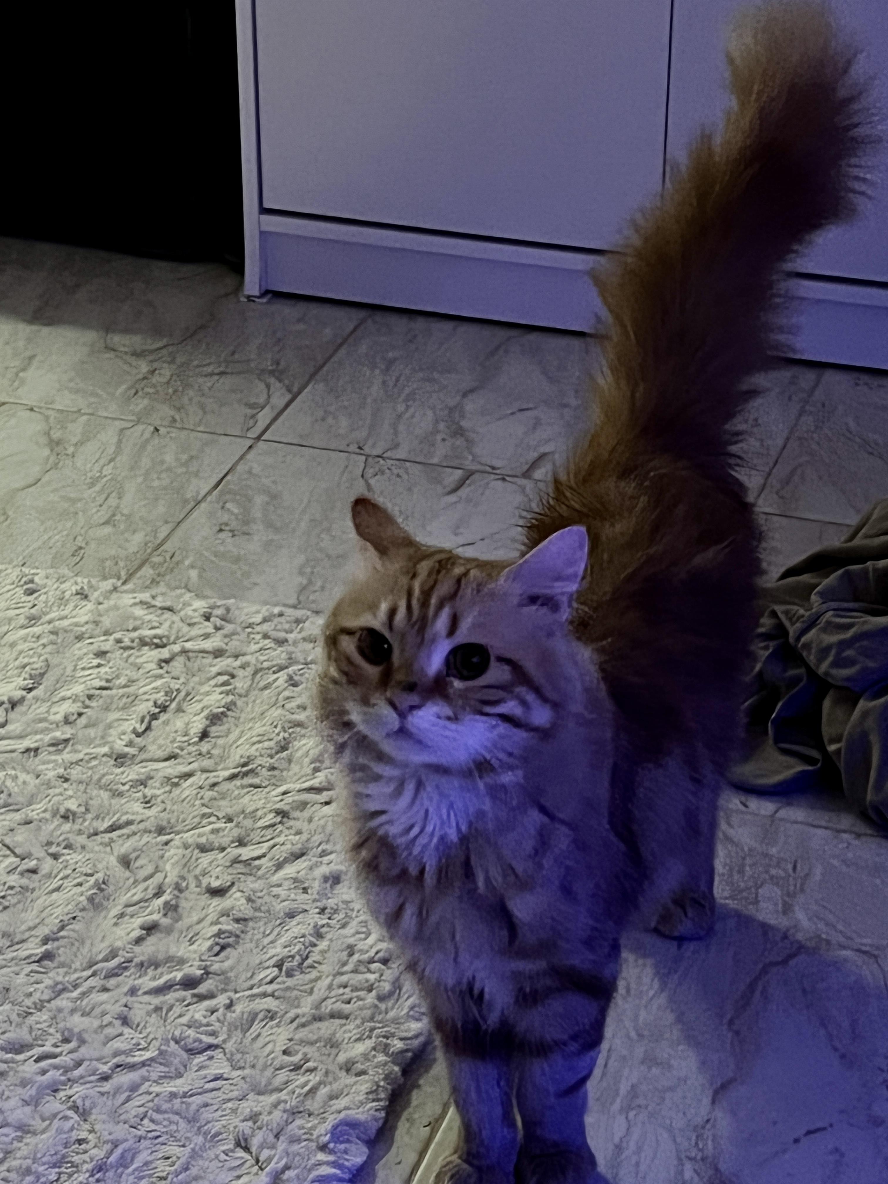 a prince! | Scrolller