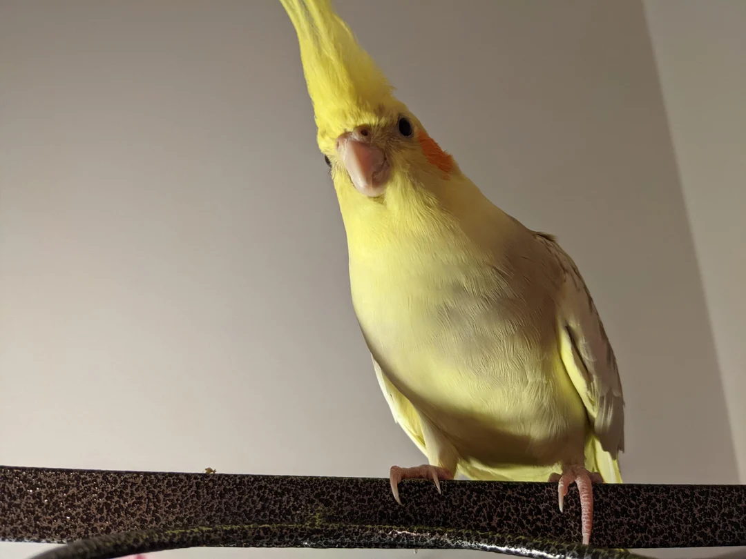 I am still amazed of how pretty she is | Scrolller