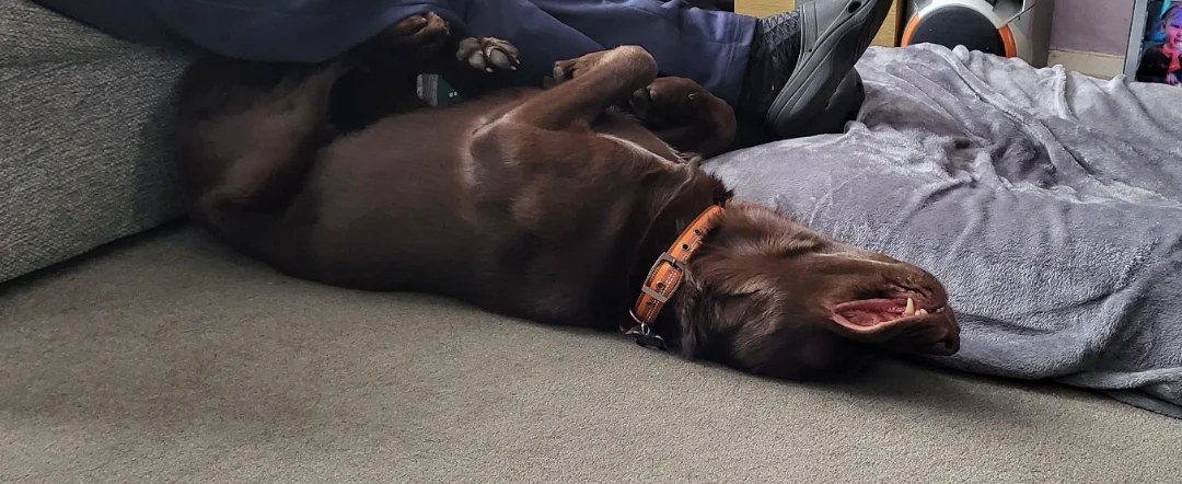 Maximum comfort | Scrolller