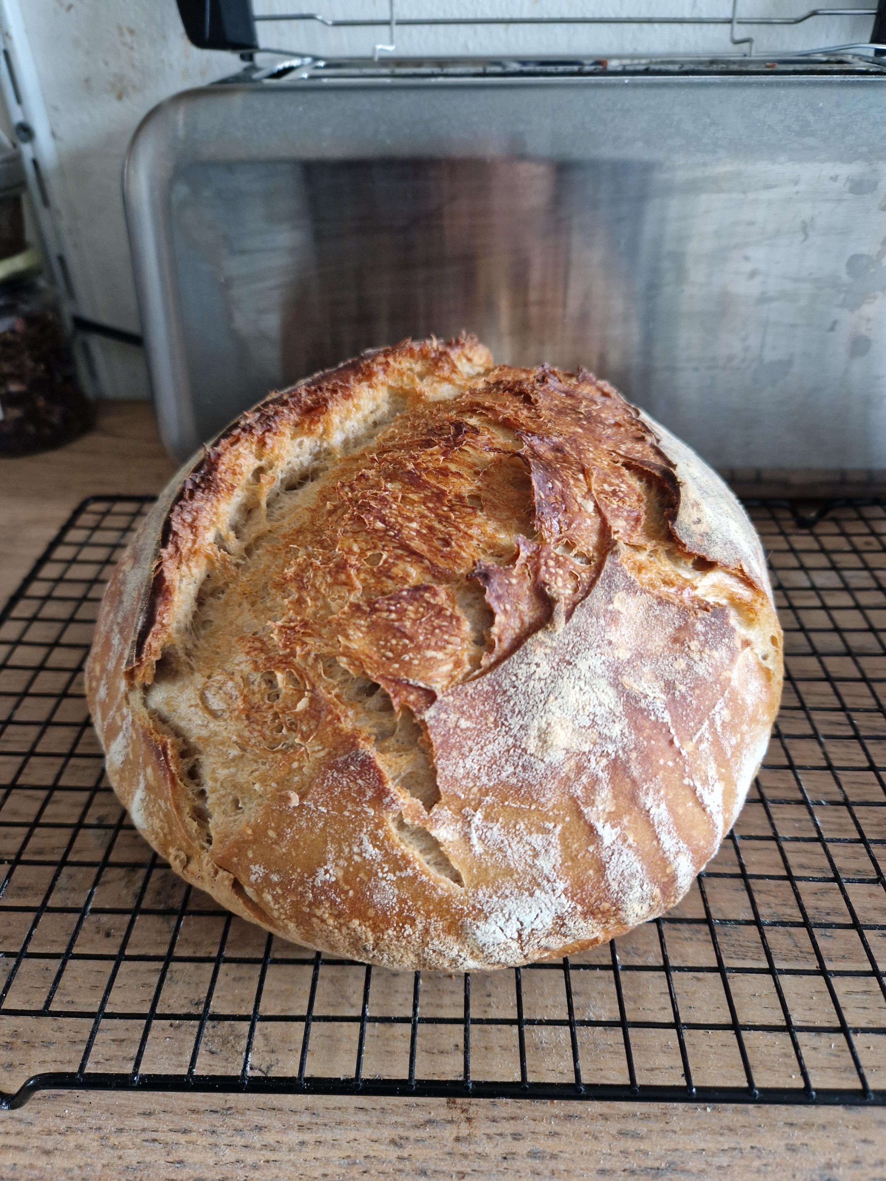 First time using rye flour | Scrolller